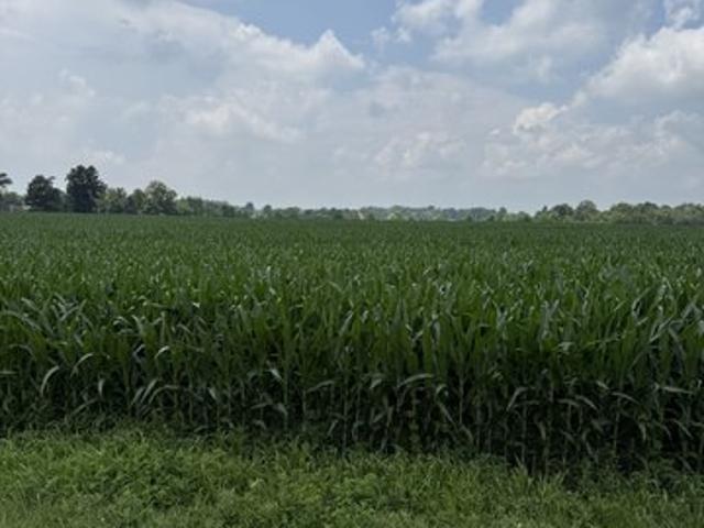 Morrison Rd, Muncie, IN 47304