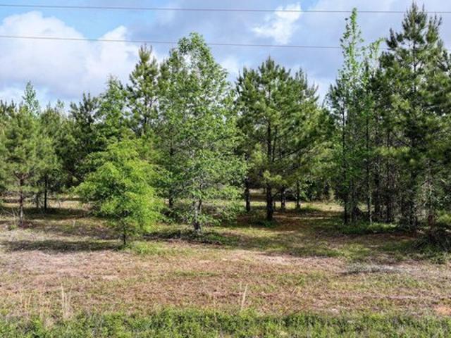 Morrow Brg, Dry Creek, LA 70637