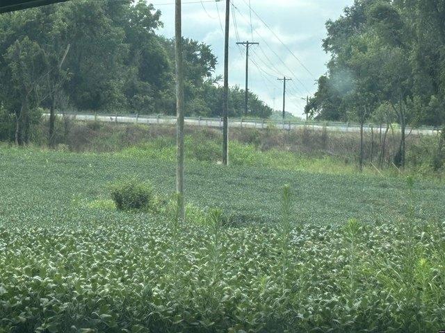 Morrow Rd, Fulton, KY 42041