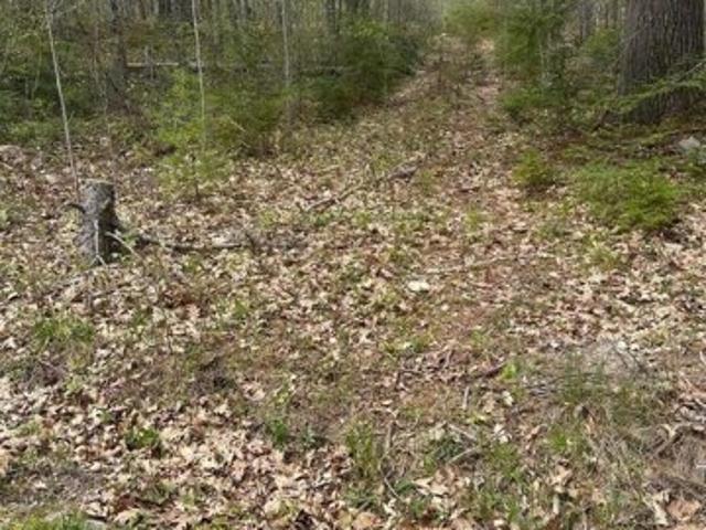 Morse District Rd Lot,steuben, Plot For Sale