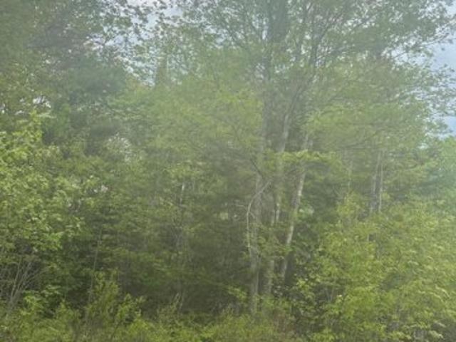 Morse District Rd N, Steuben, Plot For Sale