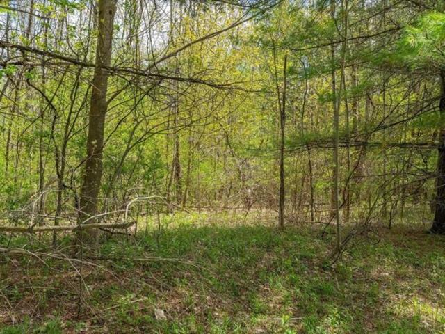 Morse Hill Rd Lot A, Dorset, Plot For Sale