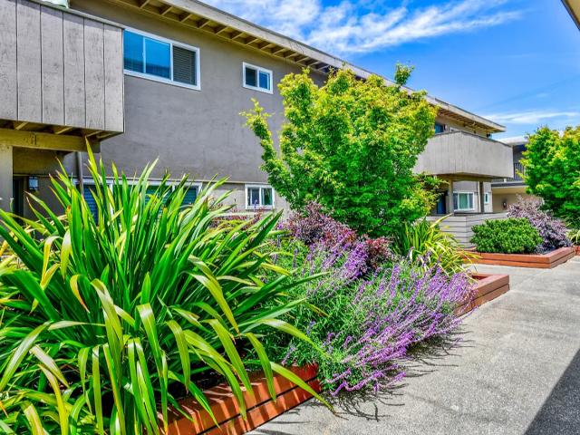 Mosaic Apartments 1 Bedroom Apartment for Rent at 19972 Stanton Ave, Castro Valley, CA 94546