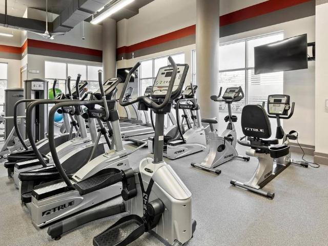 Mosaic Westshore Apartments 1 Bedroom Apartment for Rent at 110 S Hoover Blvd, Tampa, FL 33609 Beach Park
