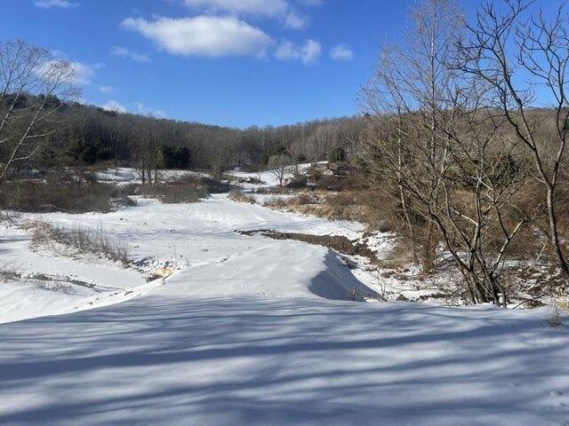 Mosier Rd, Wyalusing, Plot For Sale