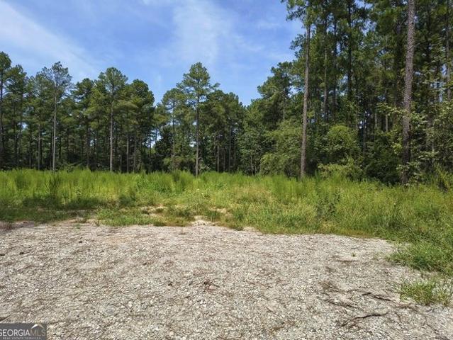 Mosley Bridge Rd, Claxton, GA 30417