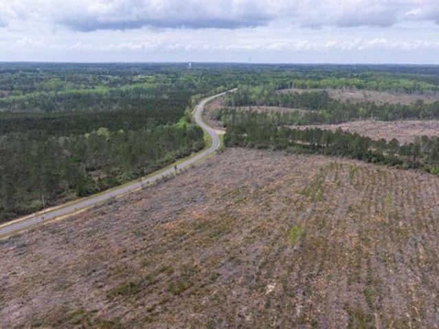 Mosley Road Lot County Rd Lot 3, Stapleton, AL 36578