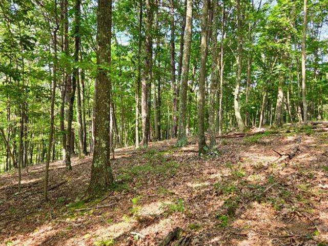 Mosquito Rd, Six Mile Run, PA 16679