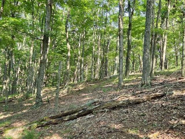 Mosquito Rd, Six Mile Run, PA 16679