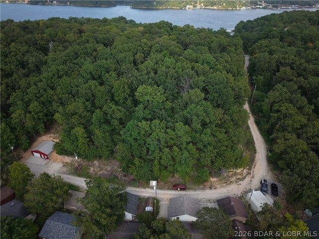 Moss Hollow Ln, Camdenton, MO 65020