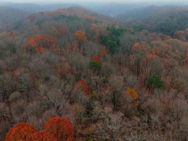 Moss Run Rd, Marietta, OH 45750