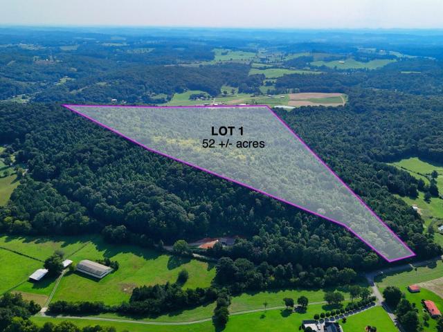 Moss Rd, Philadelphia, TN 37846