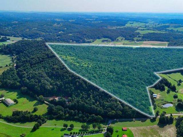 Moss Rd, Philadelphia, TN 37846