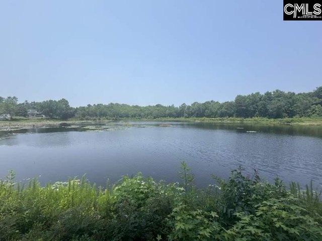 Mossborough Dr, West Columbia, SC 29073