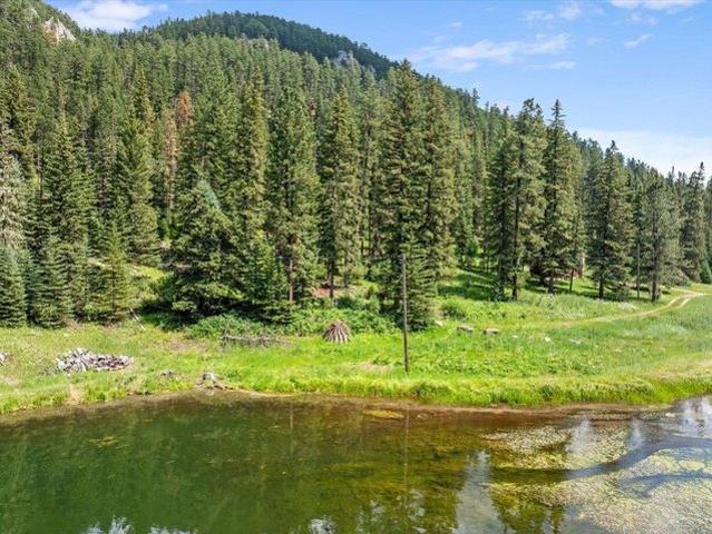 Mossy Pine Loop Lot 99, Lead, SD 57754