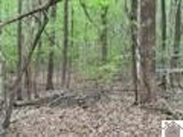 Motley Cir Lot 12, Eddyville, KY 42038