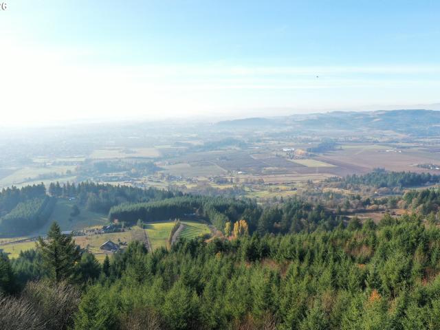 Moutain Top