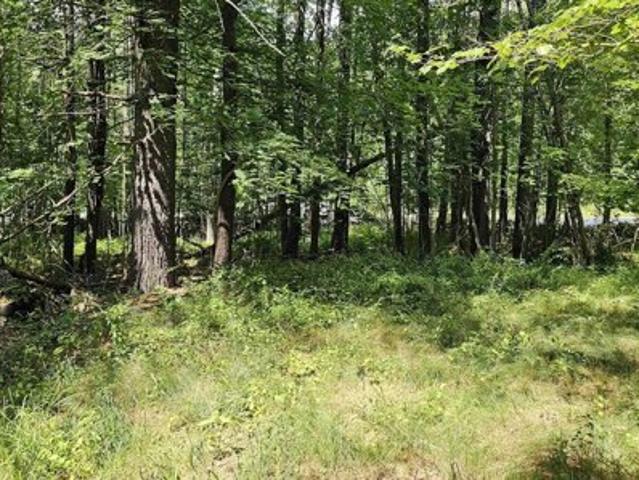 Moultonboro Neck Rd, Moultonborough, Plot For Sale