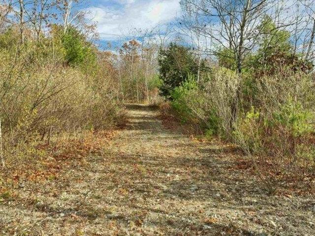 Moultonborough NH 03254 104848371