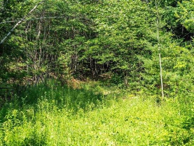 Moultonborough NH 03254 104852682