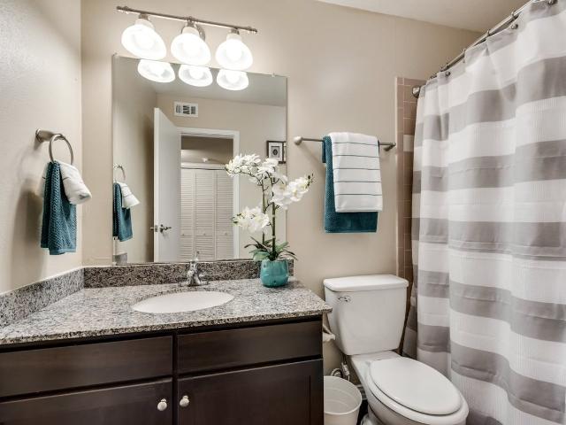 Mount Vernon 3 Bedroom Apartment for Rent at 1020 Scotland Dr, Desoto, TX 75115