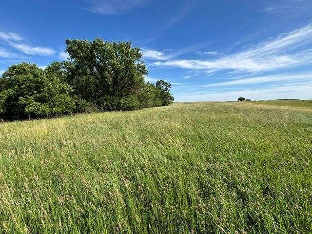 Mount Vernon Rd, Lancaster, MO 63548