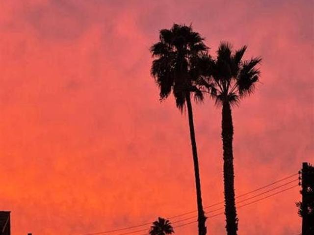 Mount Washington Room