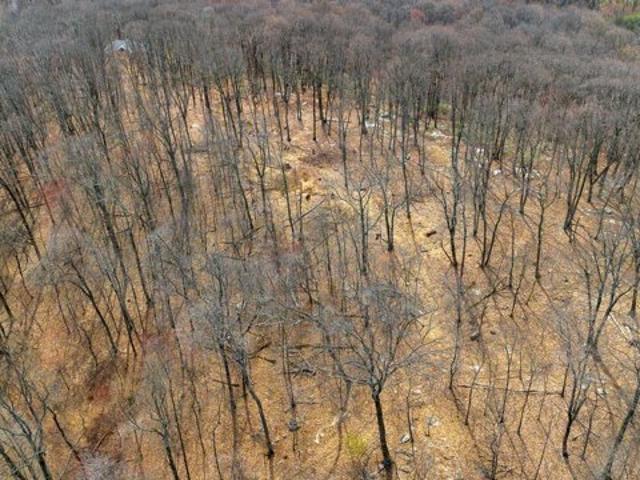 Mount Zion Rd, Frederick, Plot For Sale