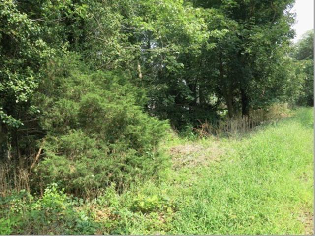 Mount Blue St, Norwell, Plot For Sale