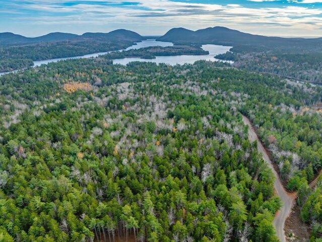 Mount Desert ME 04660 LS102316663