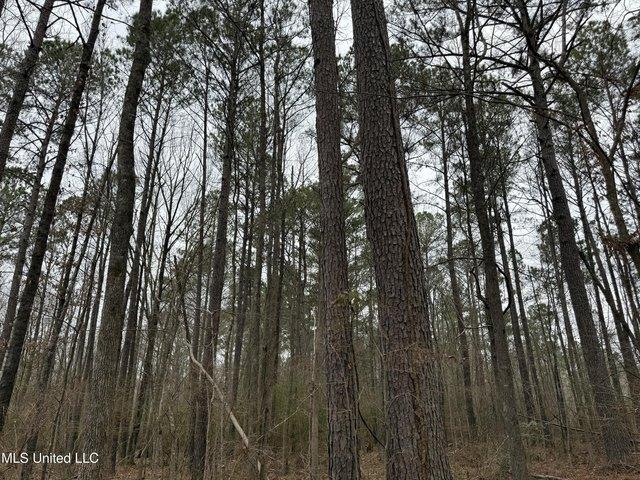 Mount Elam Church Rd, Pearl, MS 39208