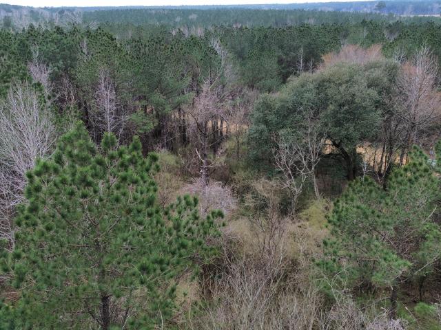Mount Gilead Road, McCall Creek, MS 39647
