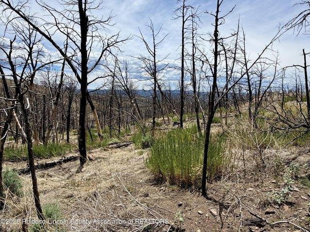 Mount Hood Lot 17, Ruidoso, NM 88345