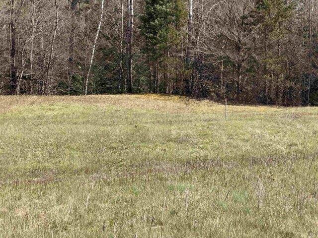 Mount Holly VT 05758 102214985