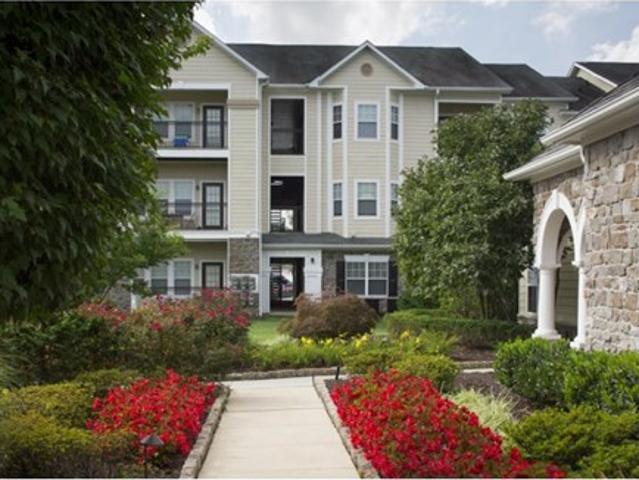 Mount Laurel Crossing Camellia