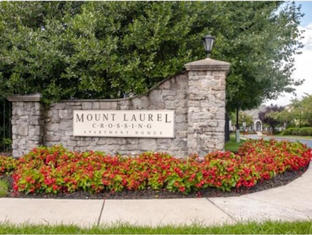 Mount Laurel Crossing Birch
