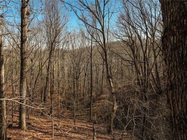 Mount Mincie Rd Lot 10, Murrayville, GA 30564