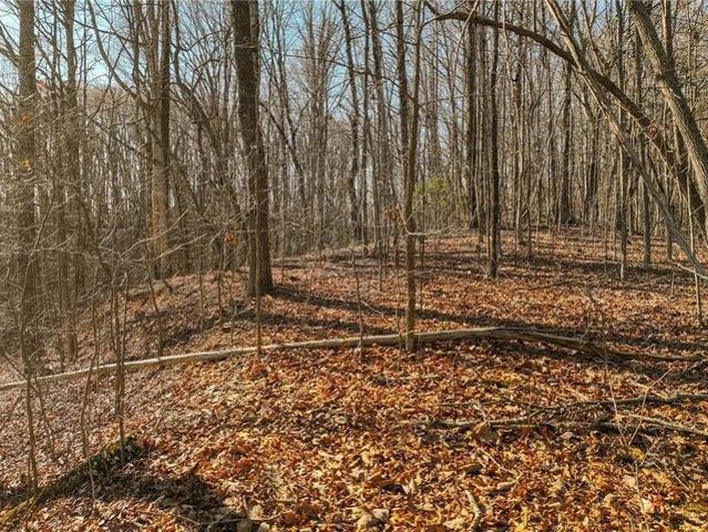 Mount Mincie Rd Lot 5, Murrayville, GA 30564