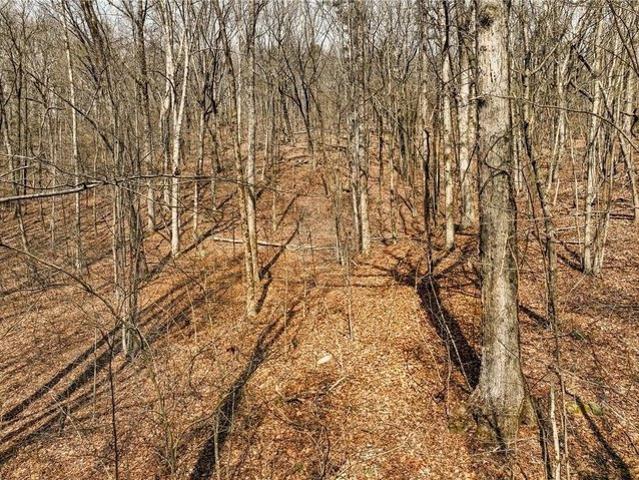 Mount Mincie Rd Lot 6, Murrayville, GA 30564