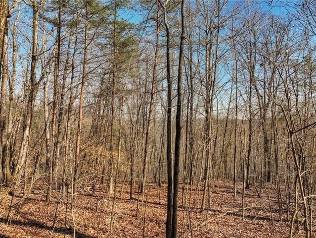 Mount Mincie Rd Lot 9, Murrayville, GA 30564