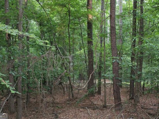 Mount Moriah Rd, Auburn, Plot For Sale