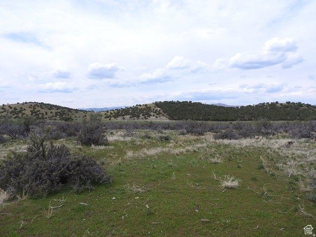 Mount Pleasant, UT 84647