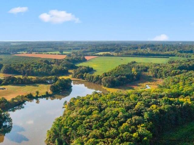Mount Pleasant, Hague, VA 22469