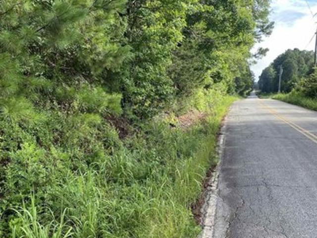 Mount Shoals Rd, Enoree, SC 29335