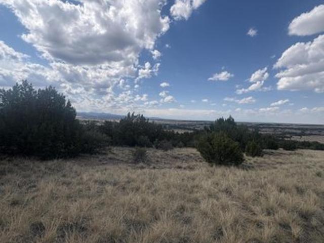 Mount Shavano Lot 558, Colorado City, CO 81019