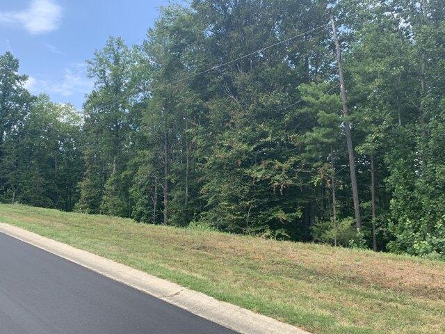 Mountain Top Dr Lot,rocky Mount, Plot For Sale
