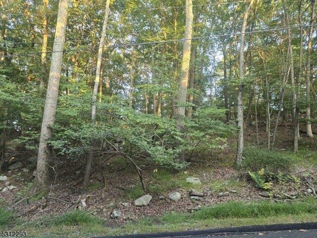 Mountain Trl, Hopatcong, Plot For Sale
