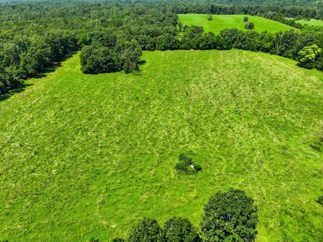 Mountain View, MO 65548