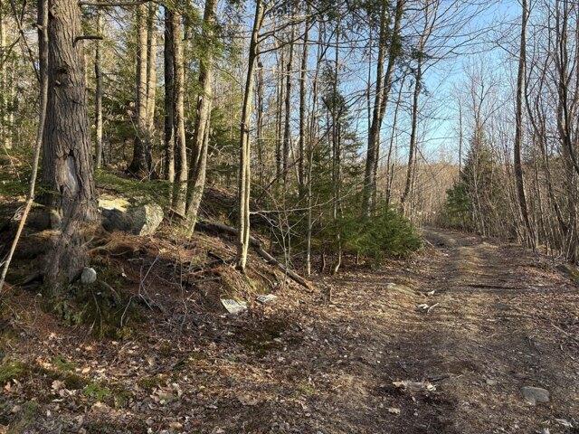 Mountain View Anx, Rumford, Plot For Sale