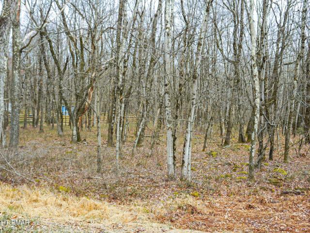 Mountain View Drive